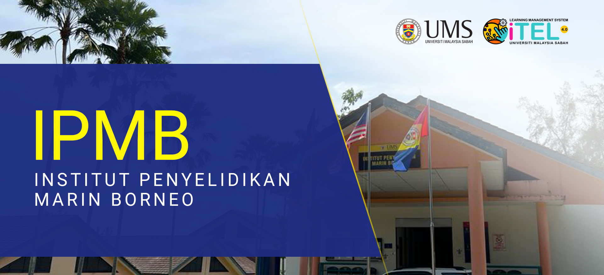 iTEL: Course categories